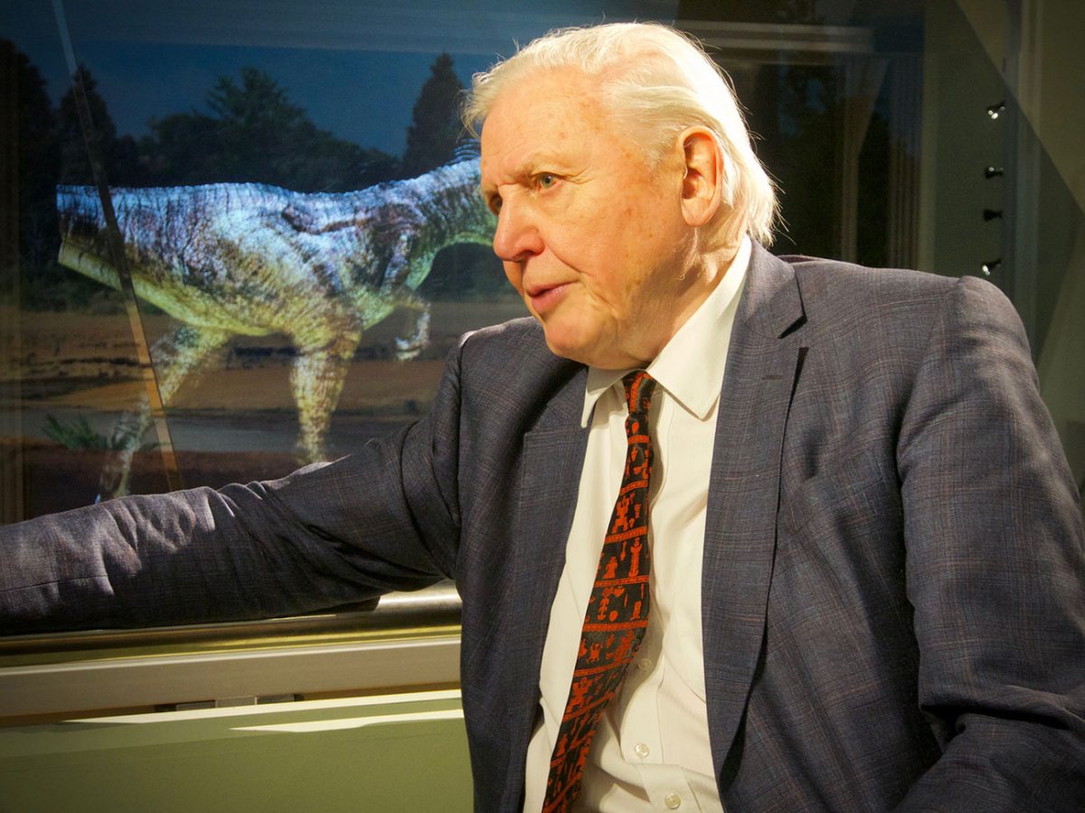 York to pay giant tribute to Sir David Attenborough as he turns 100 ...