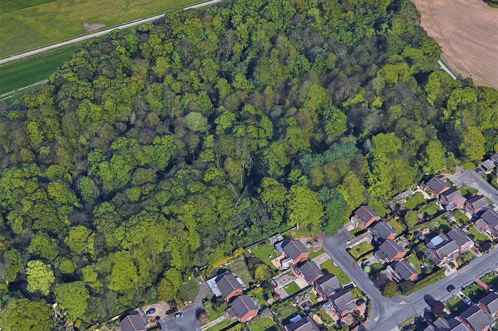 Firefighters rescue man stuck up a tree | YorkMix | YorkMix