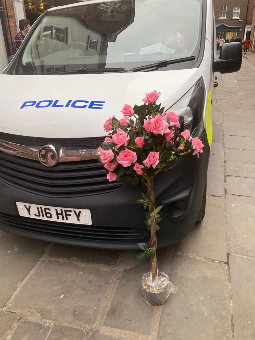 ‘This was no joke’: Police step in after people hit with rose bush in ...
