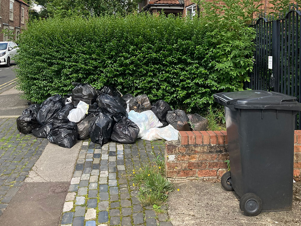 York street becomes ‘public health hazard’ as bin bags are left ...