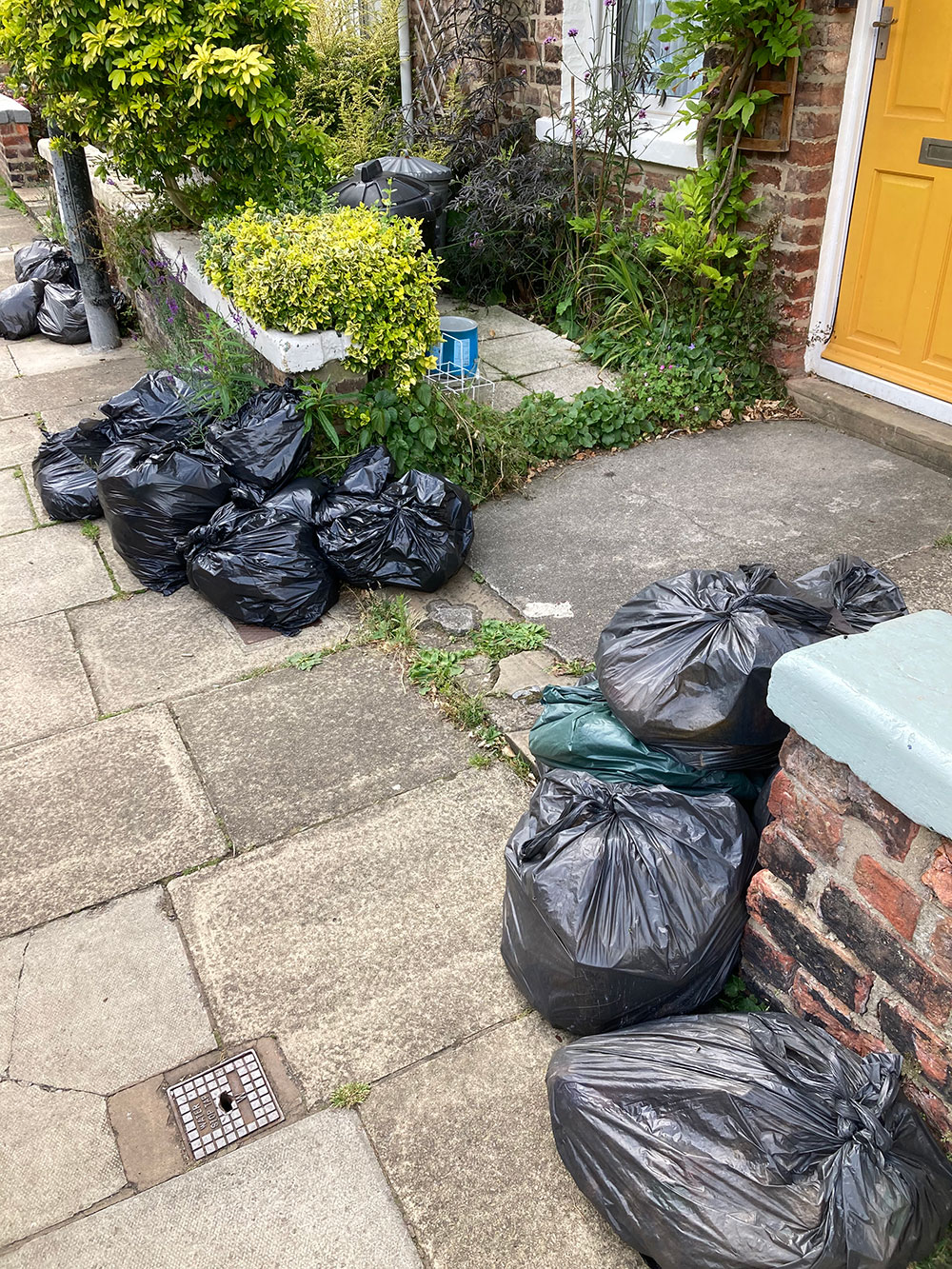 York street becomes ‘public health hazard’ as bin bags are left ...