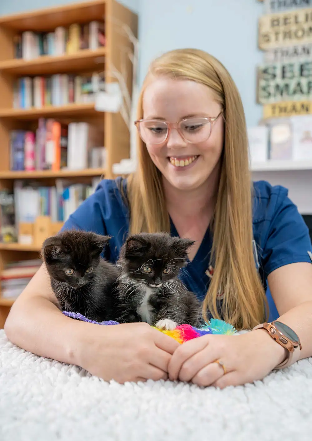 Meet Squid and Urchin, the York kittens saved from the brink of death | YorkMix | YorkMix