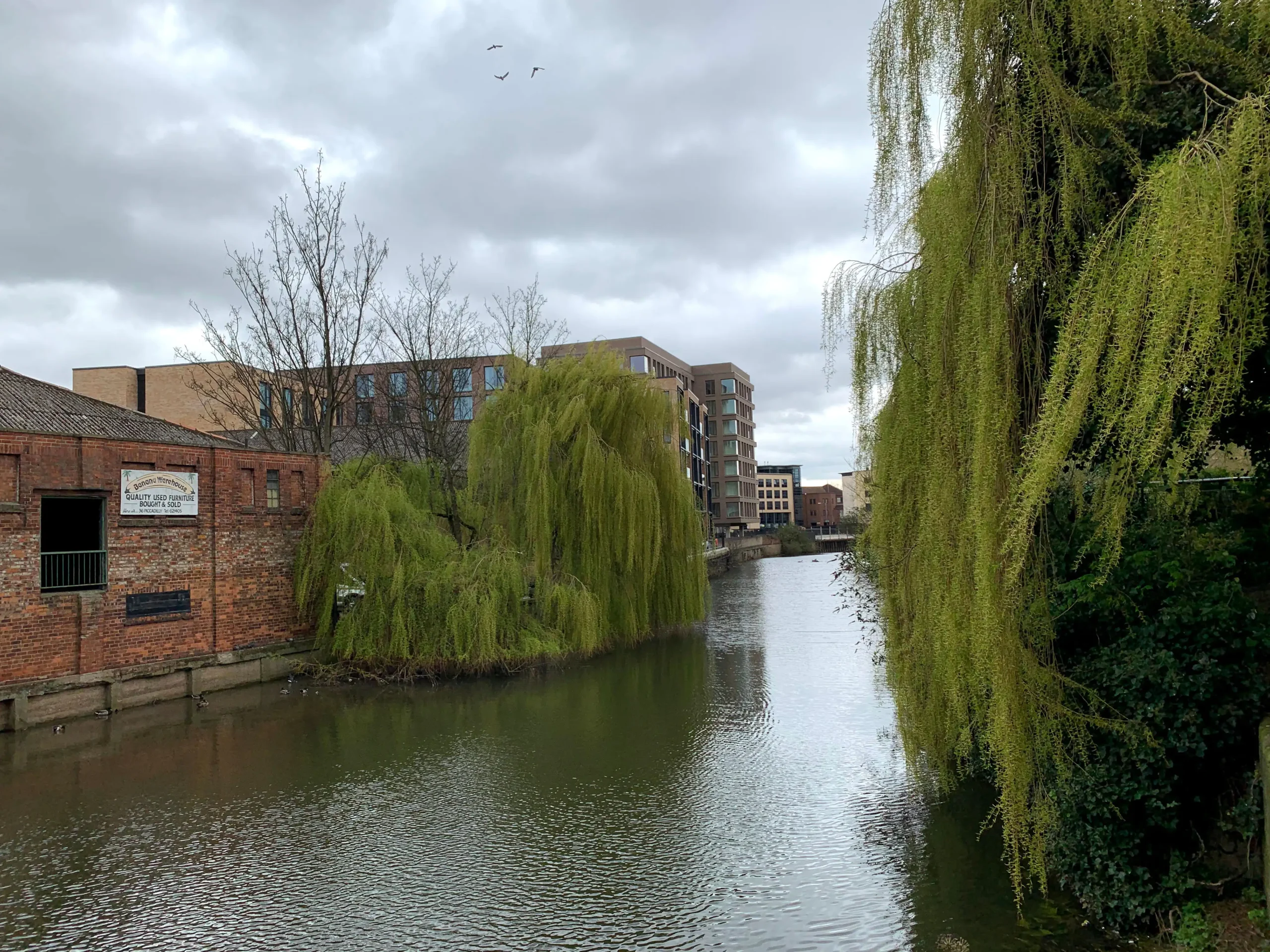 Fears that pollution is doing ‘untold harm’ to York river | YorkMix ...