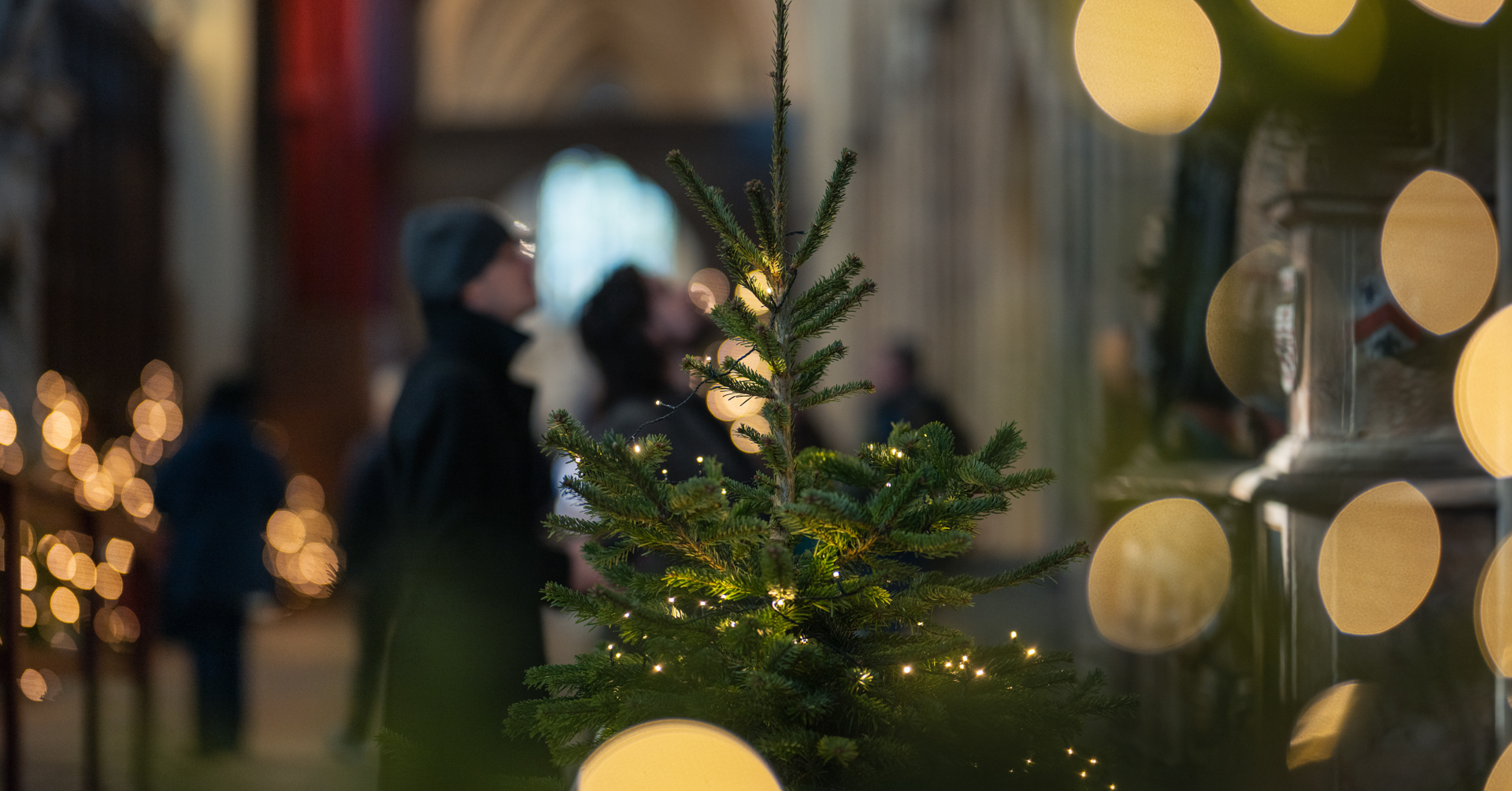 Christmas light switch-ons guide 2025 for York and North Yorkshire ...