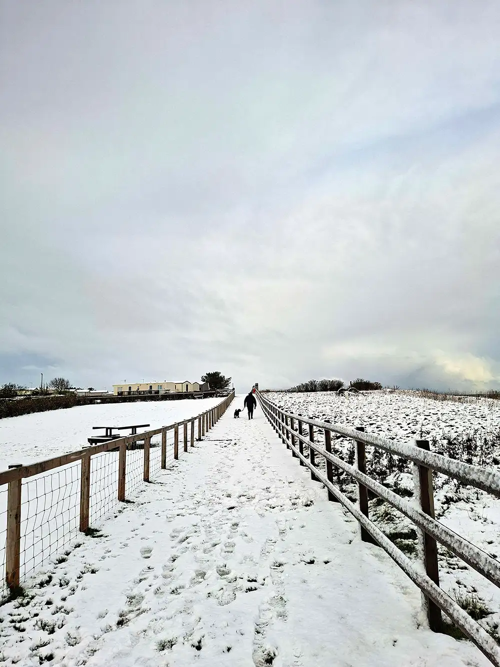 Amazing wintry pictures show the snowy conditions in North Yorkshire ...