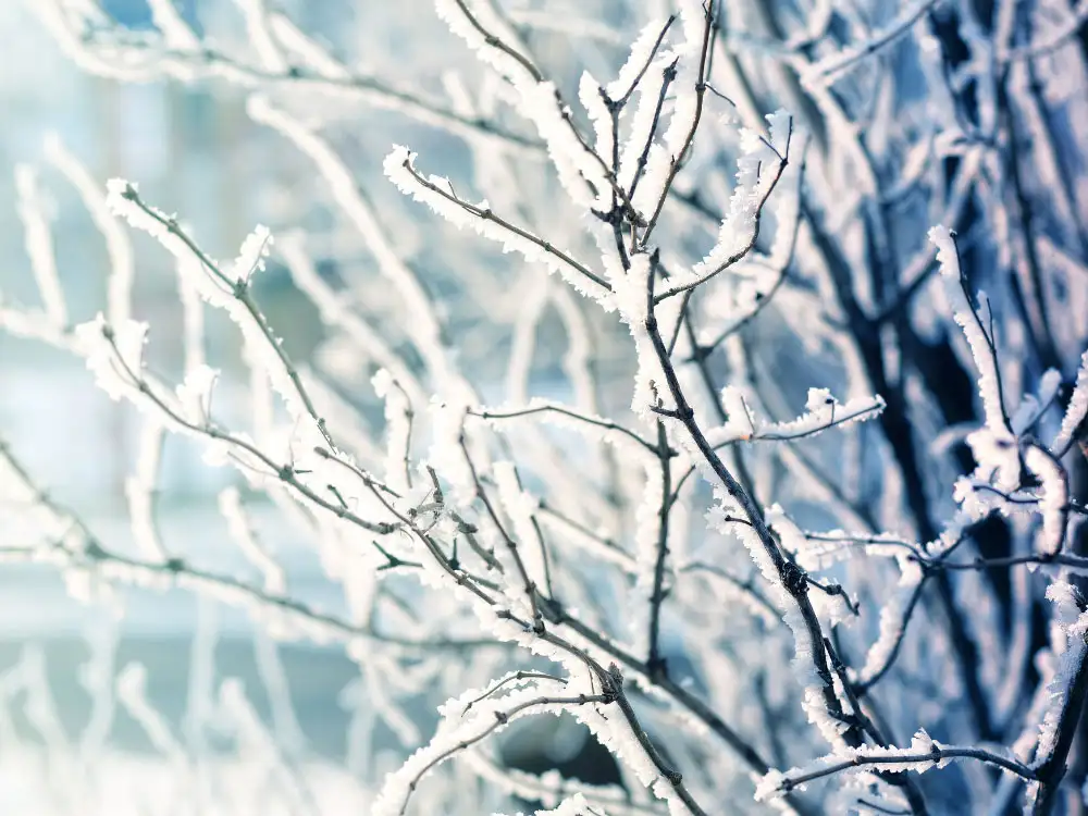 Cold weather warning for York as temperatures set to drop to -3°C ...