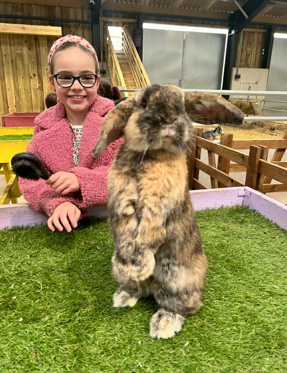 Star in our special video series the Animal Academy at Monk Park Farm ...